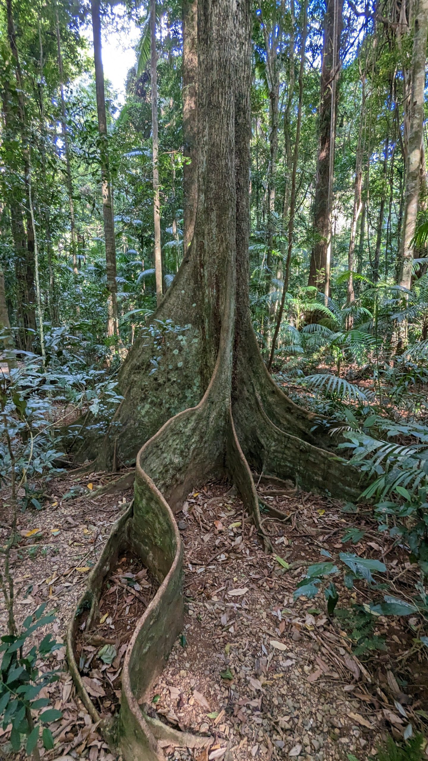 Mindful walking - Marvellous Meditations
